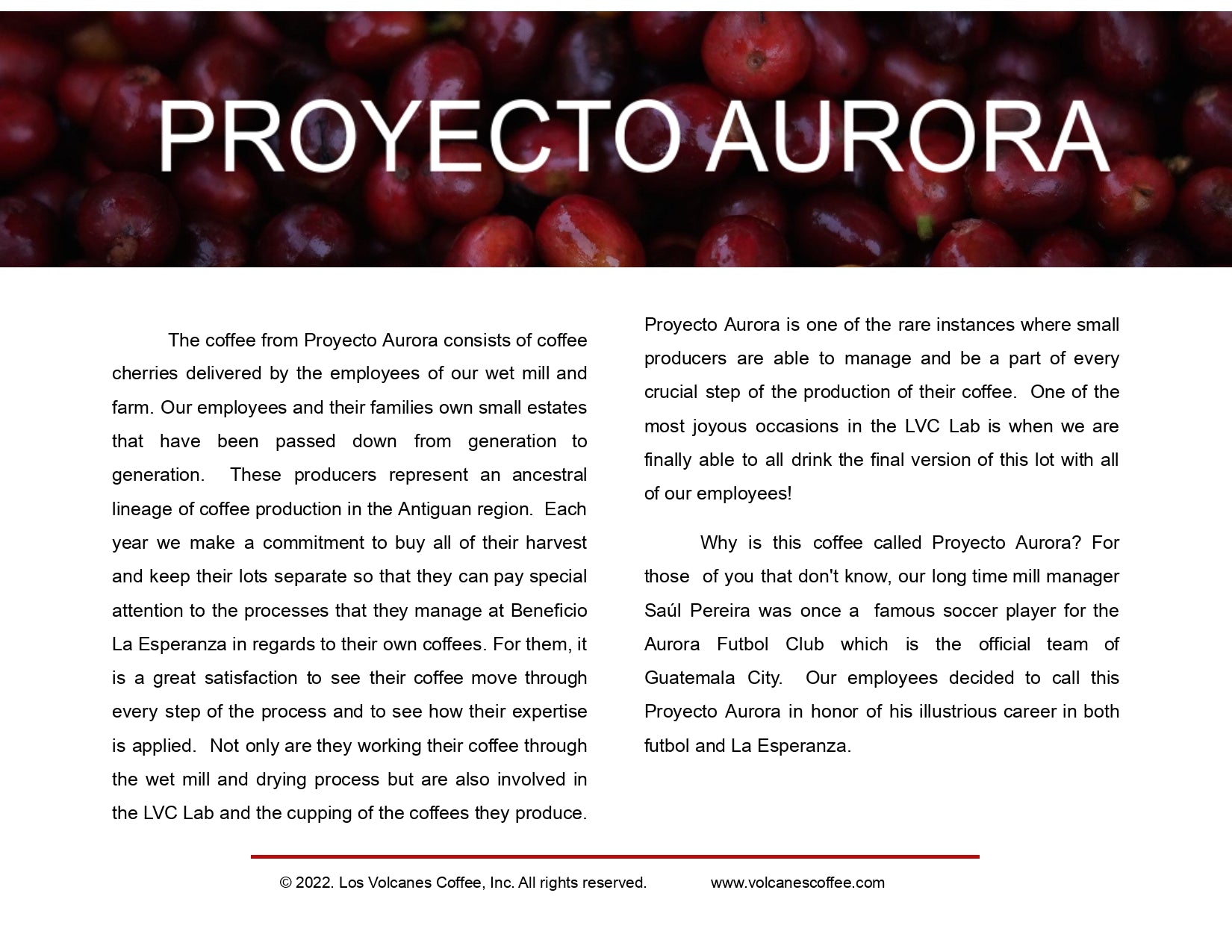 Proyecto Aurora – Café Blondie